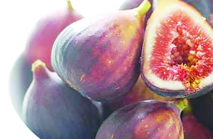 Figs for Healthy Skin - The Islamic Post | Online Edition